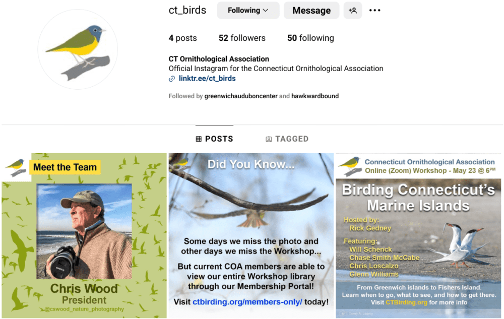 Follow COA on our new Instagram @ct_birds - Connecticut Ornithological ...